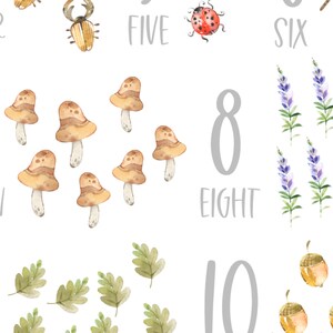 Woodland Alphabet Number Posters, Woodland Nursery Prints, Animal ...
