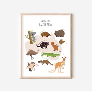 Animals of the World Prints Set of 7, Educational Printable, Classroom ...