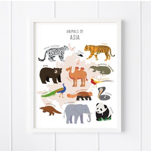 Animals of Asia, Educational Printable, Classroom Posters, Montessori ...