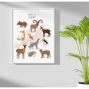 Animals of Europe, Educational Printable, Classroom Posters, Montessori ...