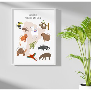 Animals of South America, Educational Classroom Posters, Montessori ...