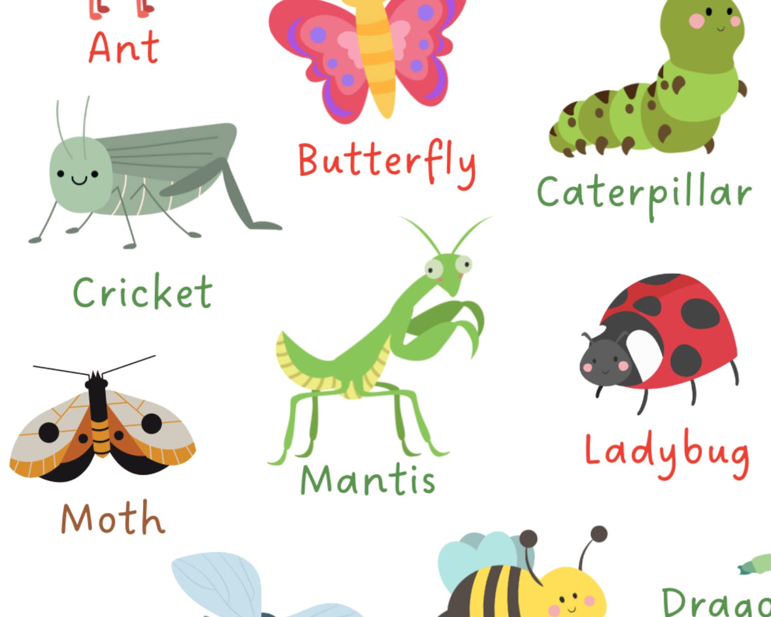 Insects Print, Kids Educational Poster, Classroom Poster, Home School ...