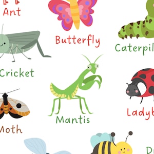 Insects Print, Kids Educational Poster, Classroom Poster, Home School ...