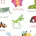 Kids Educational Prints, Animal Classification, Classroom Posters, Home ...