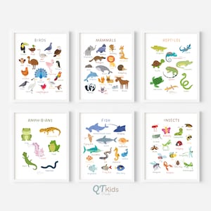 Kids Educational Prints, Animal Classification, Classroom Posters, Home ...