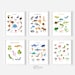 Kids Educational Prints, Animal Classification, Classroom Posters, Home ...