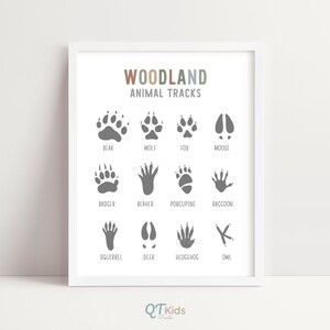 Woodland Nursery Prints, Animal Footprints Tracks, Kids Playroom Decor ...