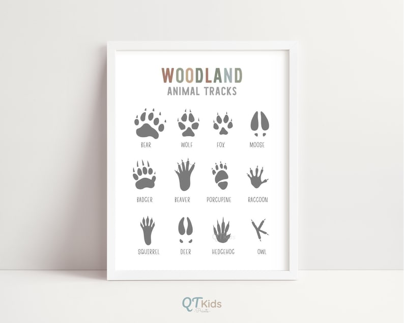Woodland Nursery Prints, Animal Footprints Tracks, Kids Playroom Decor ...