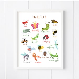 Insects Print, Kids Educational Poster, Classroom Poster, Home School ...