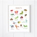 Insects Print, Kids Educational Poster, Classroom Poster, Home School ...
