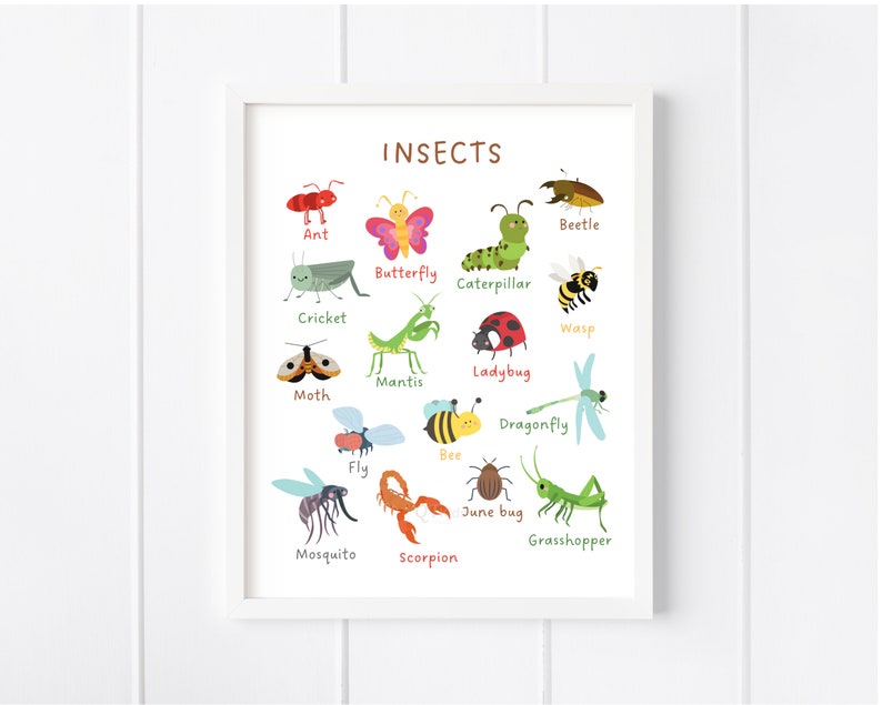 Insects Print, Kids Educational Poster, Classroom Poster, Home School ...