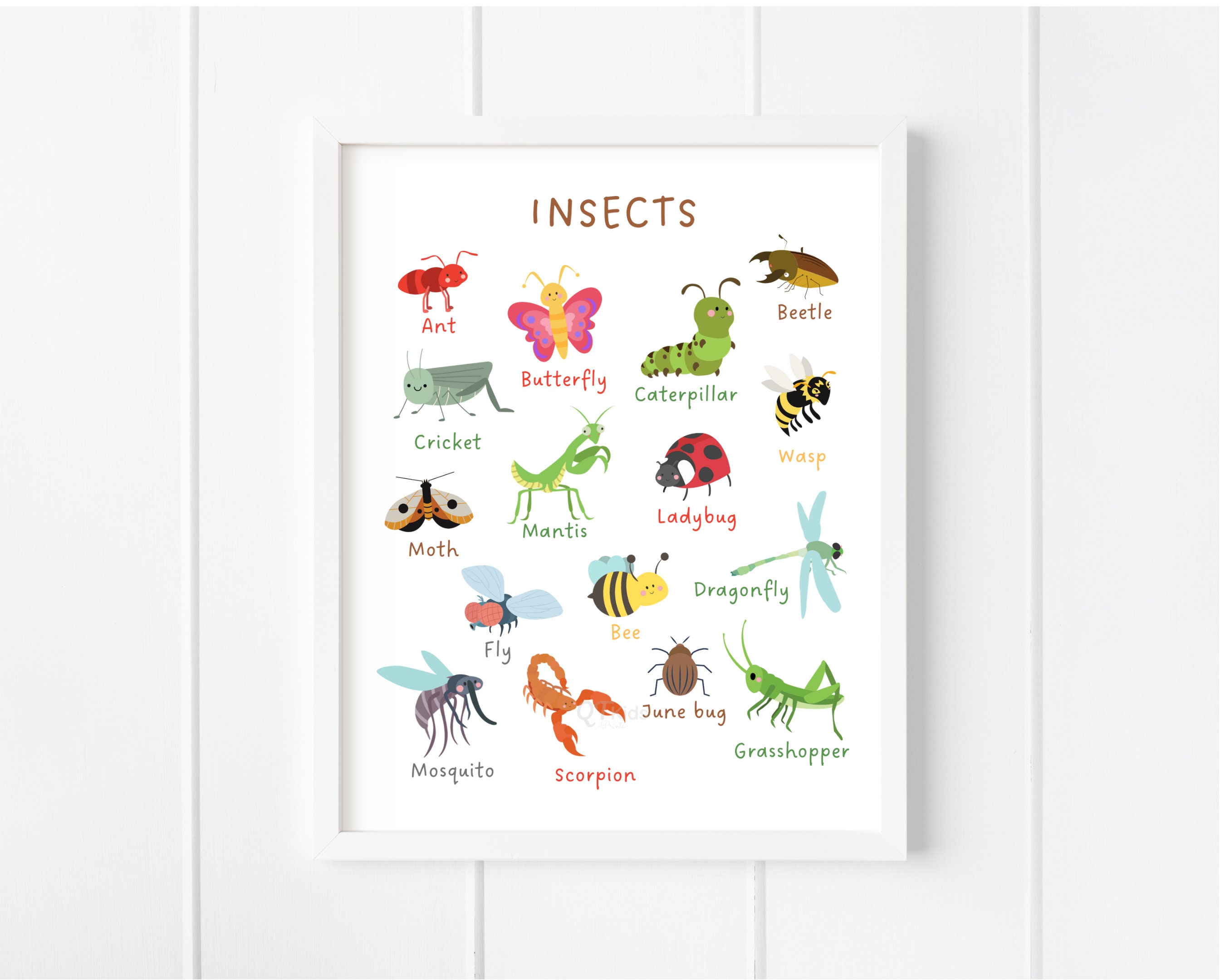 Insects Print, Kids Educational Poster, Classroom Poster, Home School ...
