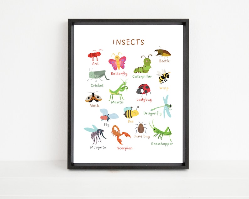 Insects Print Kids Educational Poster Classroom Poster Home - Etsy