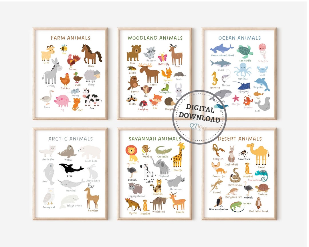 Animal Classification, Kids Educational Prints, Classroom Posters, Home ...