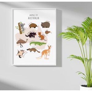 Animals of Australia, Educational Classroom Posters, Montessori Prints ...