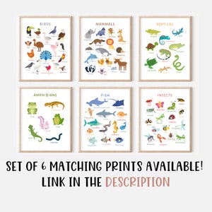Reptiles Print, Kids Educational Poster, Classroom Poster, Home School ...