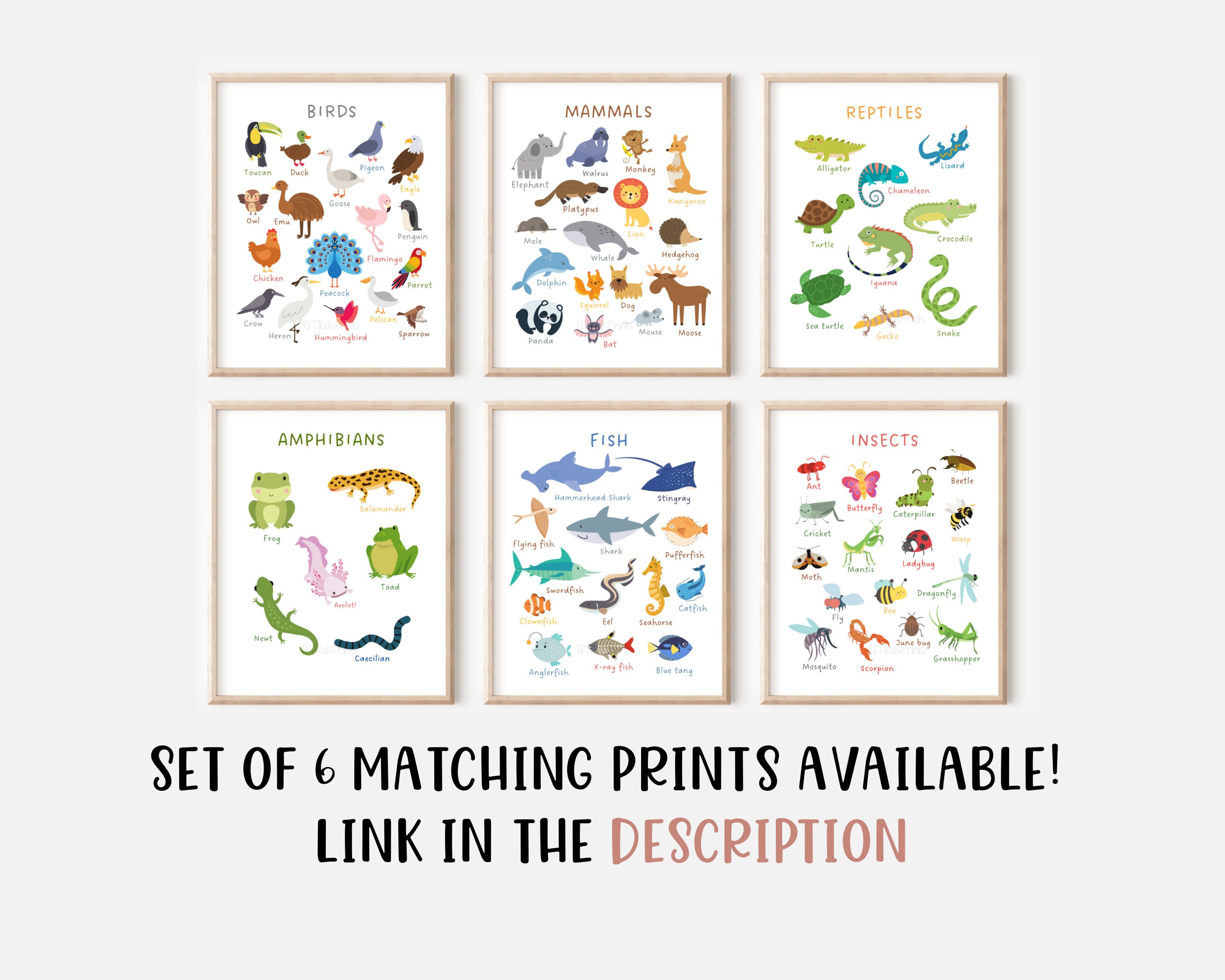 Fish Print Kids Educational Poster Classroom Poster Home - Etsy