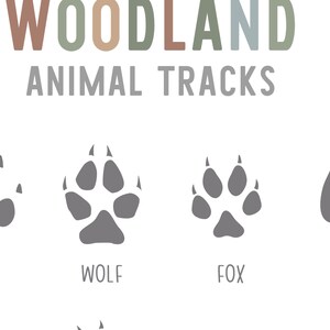 Woodland Nursery Prints, Animal Footprints Tracks, Kids Playroom Decor ...