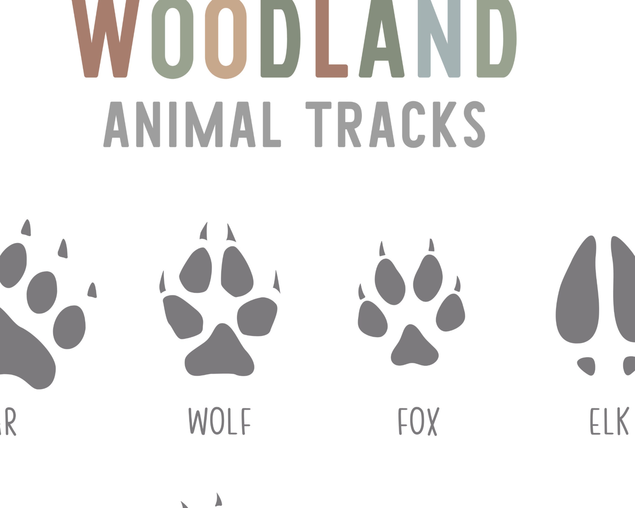 Woodland Nursery Prints, Animal Footprints Tracks, Kids Playroom Decor ...