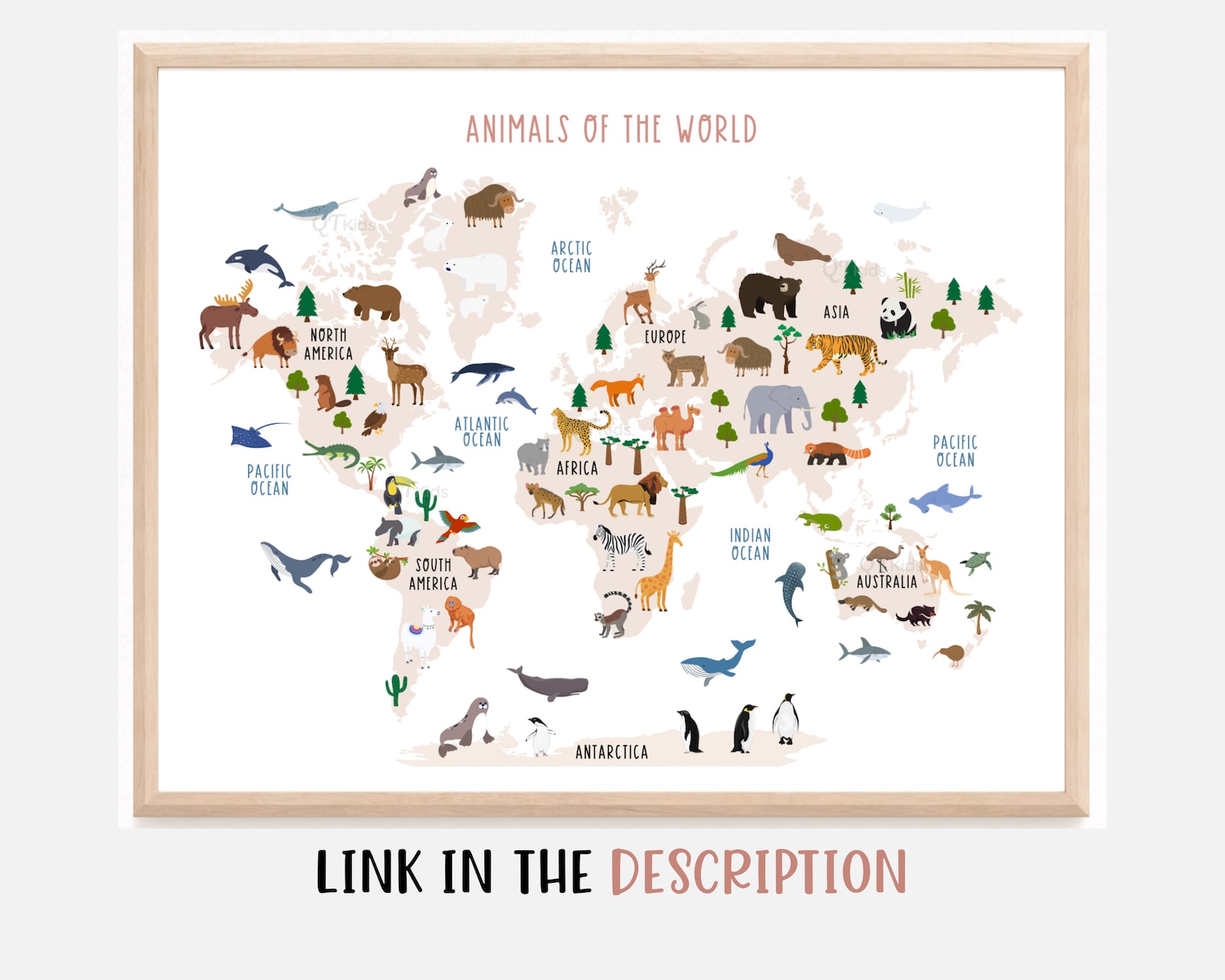 Animals of South America, Educational Classroom Posters, Montessori ...