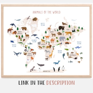 Animals of South America, Educational Classroom Posters, Montessori ...