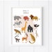 Animals of Africa Educational Printable Classroom Posters - Etsy