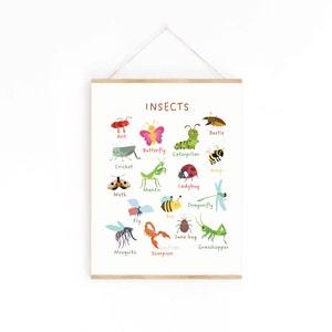 Insects Print, Kids Educational Poster, Classroom Poster, Home School ...