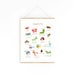 Insects Print, Kids Educational Poster, Classroom Poster, Home School ...