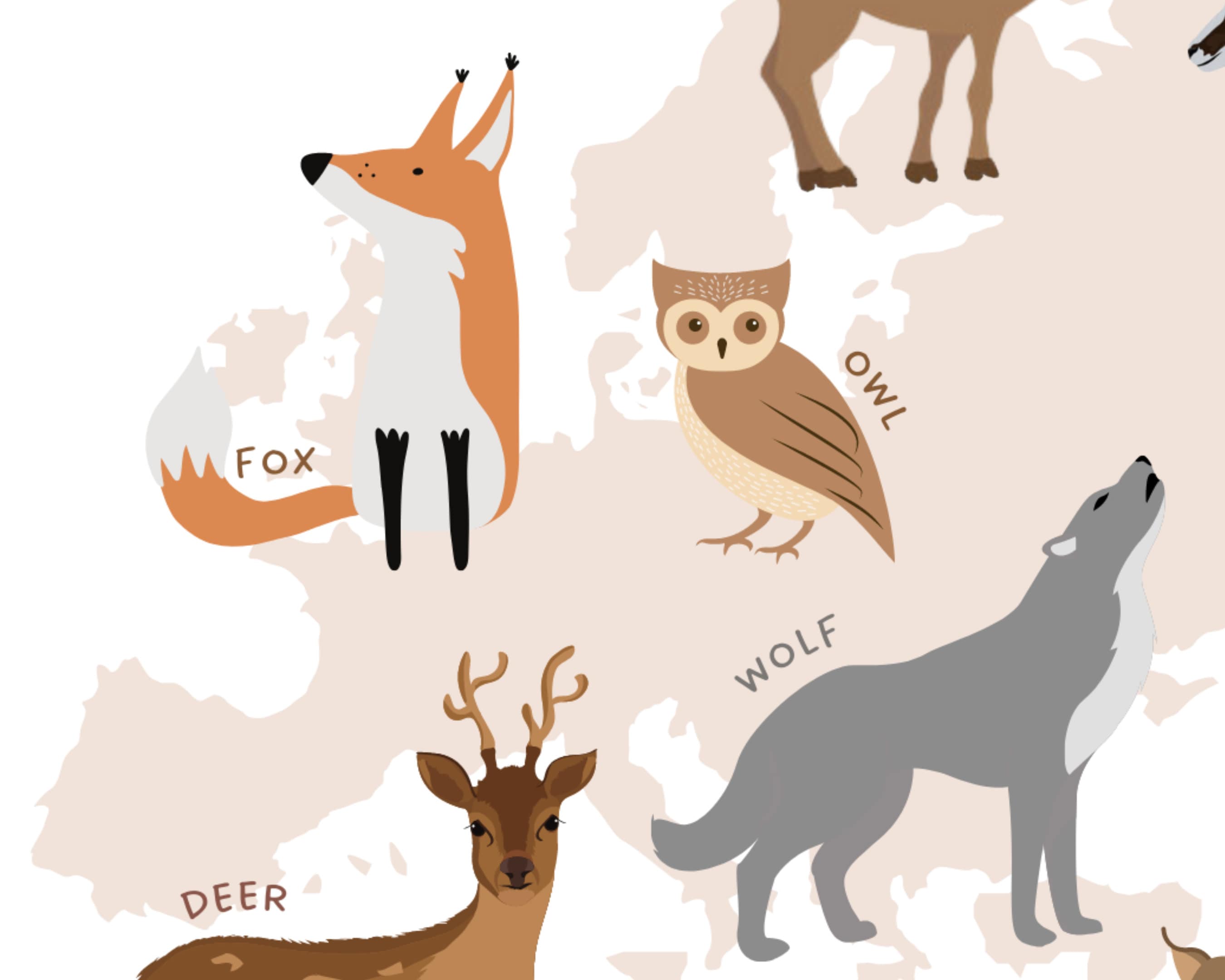 Animals of Europe Educational Printable Classroom Posters - Etsy