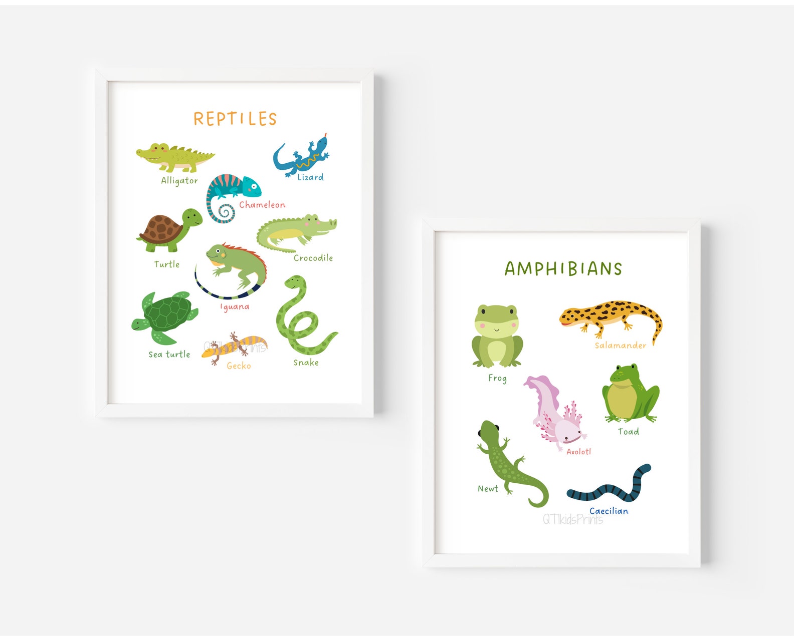Kids Educational Prints, Animal Classification, Classroom Posters, Home ...