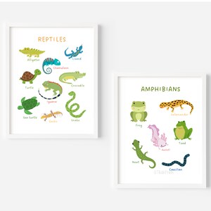 Kids Educational Prints, Animal Classification, Classroom Posters, Home ...