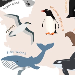 Animals of Antarctica, Educational Classroom Posters, Montessori Prints ...