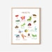 Insects Print, Kids Educational Poster, Classroom Poster, Home School ...
