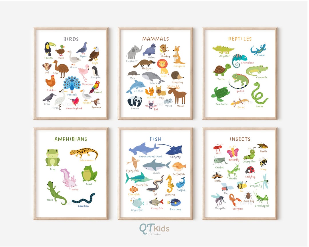 Kids Educational Prints, Animal Classification, Classroom Posters, Home ...