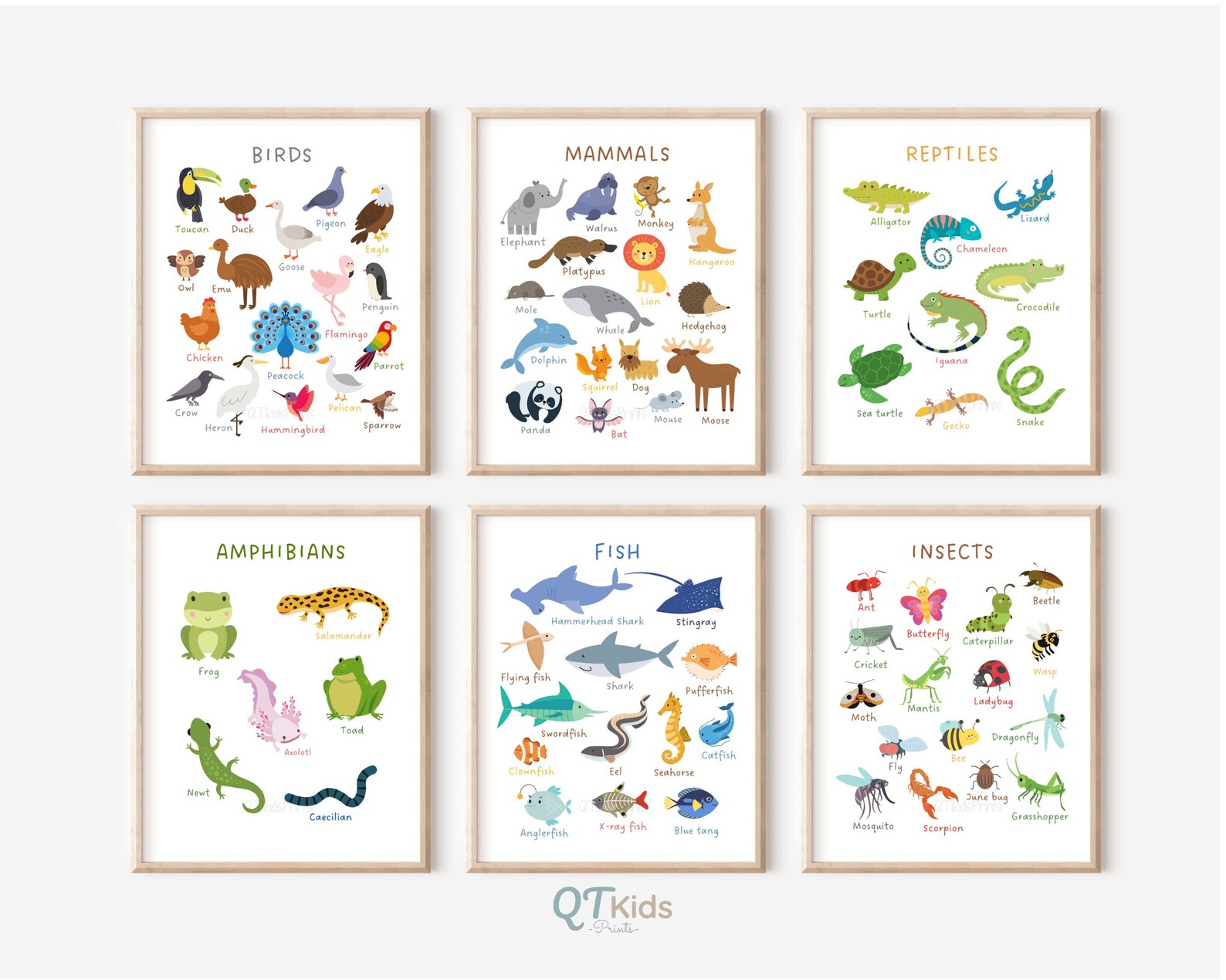 Kids Educational Prints, Animal Classification, Classroom Posters, Home ...