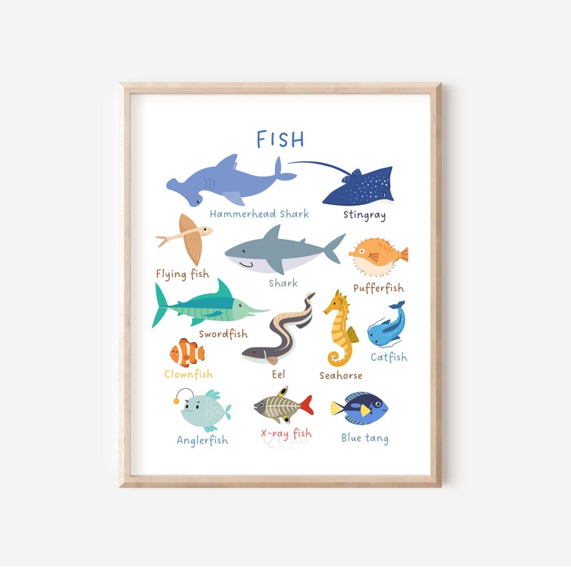 Fish Poster - Etsy