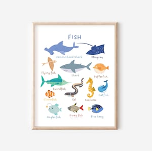 Kids Educational Prints, Animal Classification, Classroom Posters, Home ...