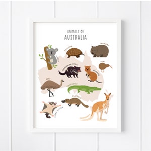 Animals of Australia, Educational Classroom Posters, Montessori Prints ...
