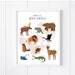 Animals of North America Educational Classroom Posters - Etsy
