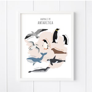 Animals of Antarctica, Educational Classroom Posters, Montessori Prints ...