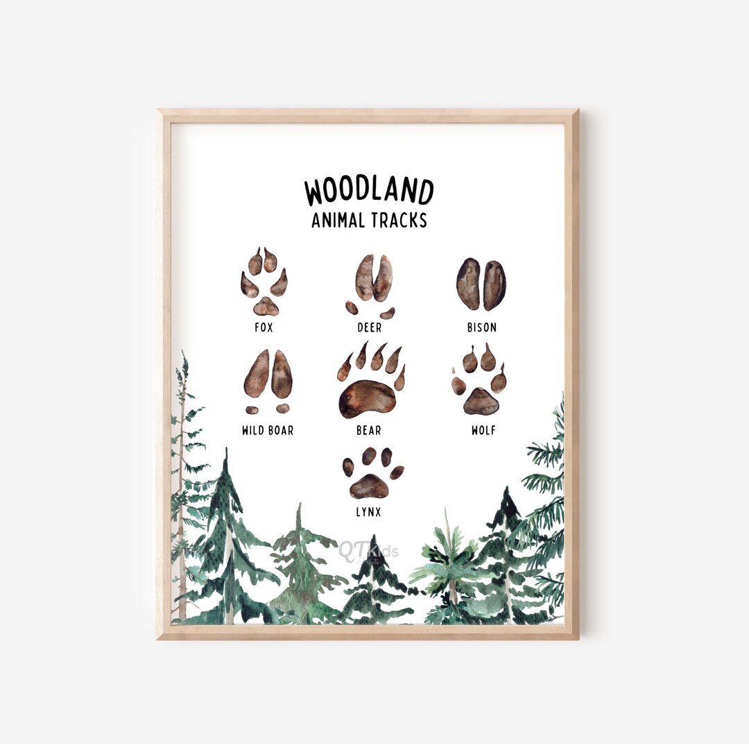 Watercolour Woodland Animal Tracks Print, Woodland Nursery Decor ...