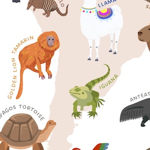 Animals of South America, Educational Classroom Posters, Montessori ...