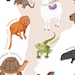 Animals of South America, Educational Classroom Posters, Montessori ...
