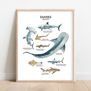 Whales and Sharks Prints, Ocean Sea Wall Art, Nautical Marine Animals ...