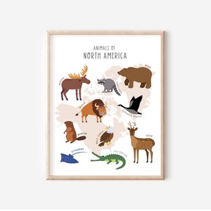 Animals of the World Prints Set of 7, Educational Printable, Classroom ...
