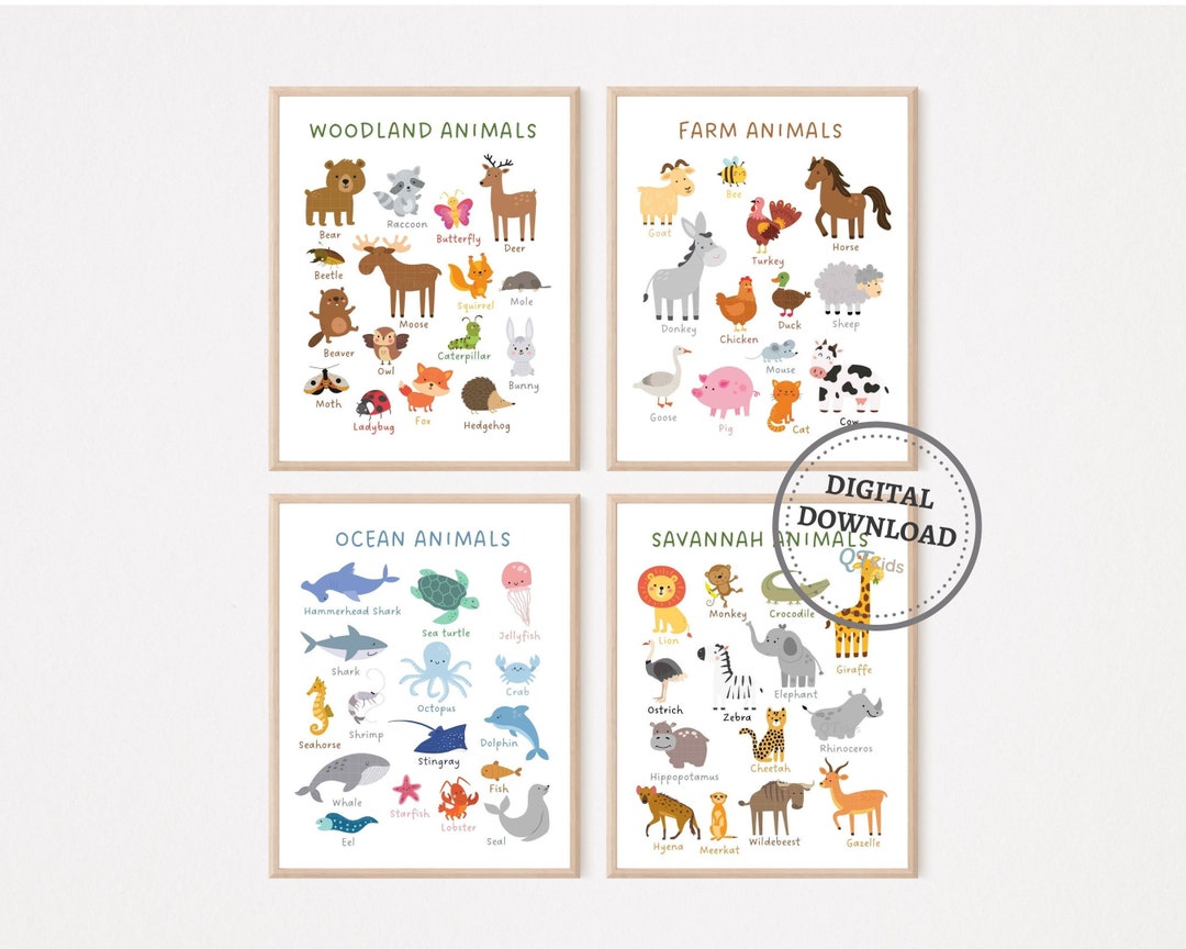Kids Educational Prints, Animal Classification, Classroom Posters, Home ...