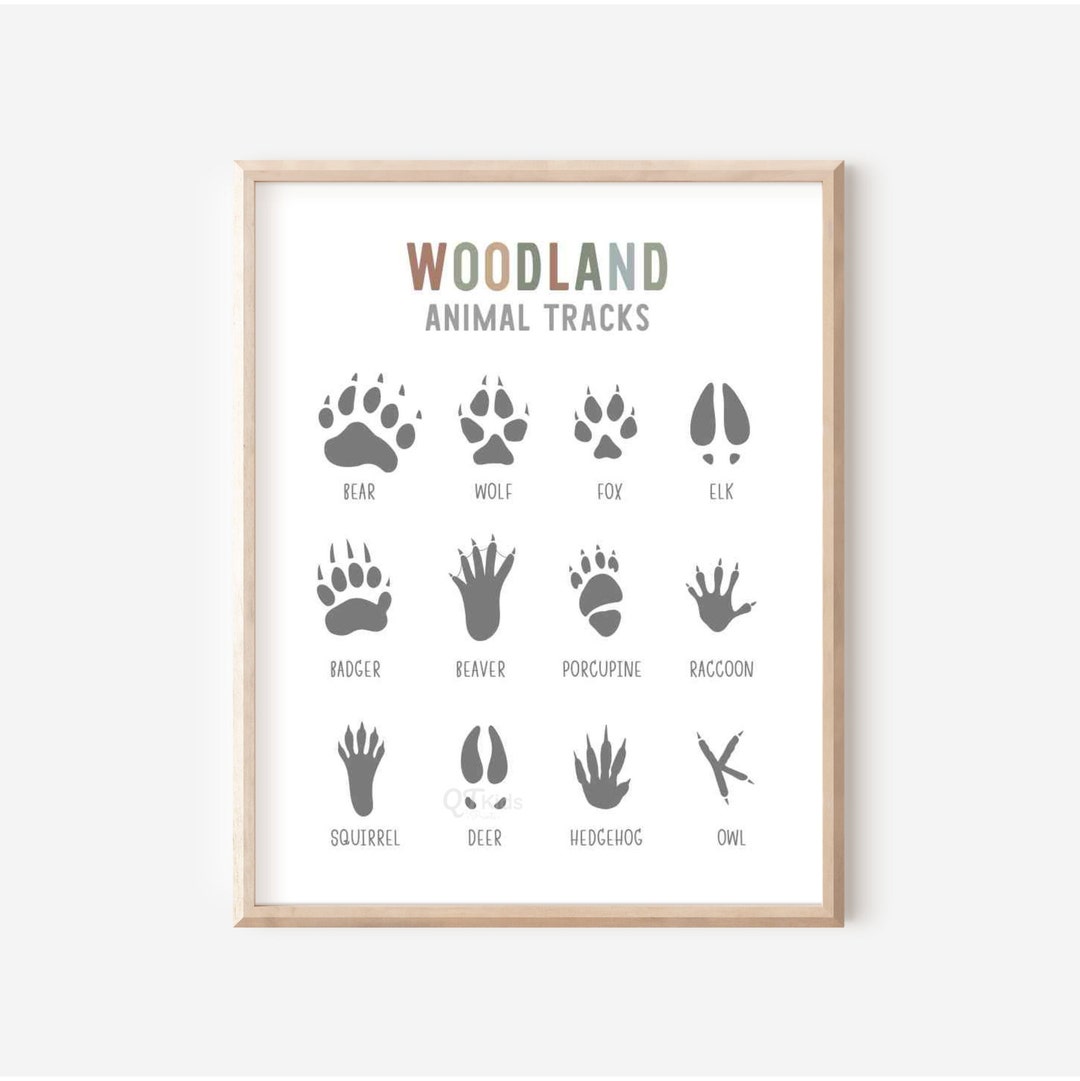 Woodland Nursery Prints, Animal Footprints Tracks, Kids Playroom Decor ...