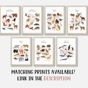 Animals of Africa, Educational Printable, Classroom Posters, Montessori ...