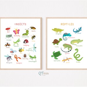 Insects Reptiles Prints, Kids Educational Poster, Classroom Poster ...