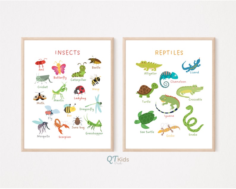 Insects Reptiles Prints, Kids Educational Poster, Classroom Poster ...